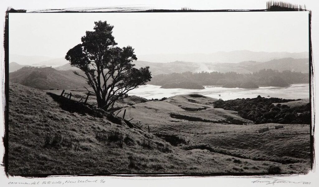 Alternative Process Social – 28 Industrial Street Unit 222 Toronto ...